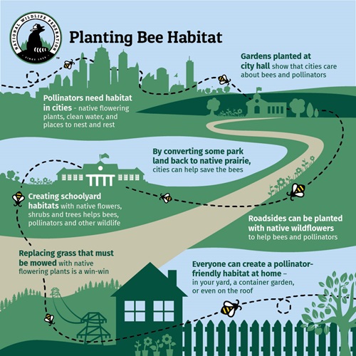 36 environmental project ideas you could get funding for | Alberta ...